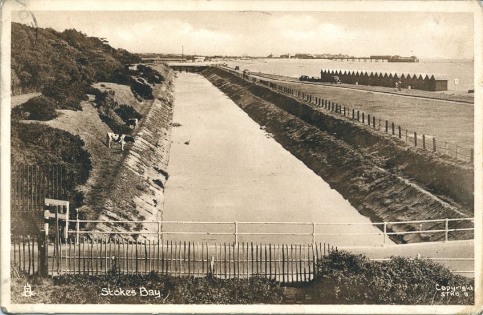 Alverbank – Friends of Stokes Bay