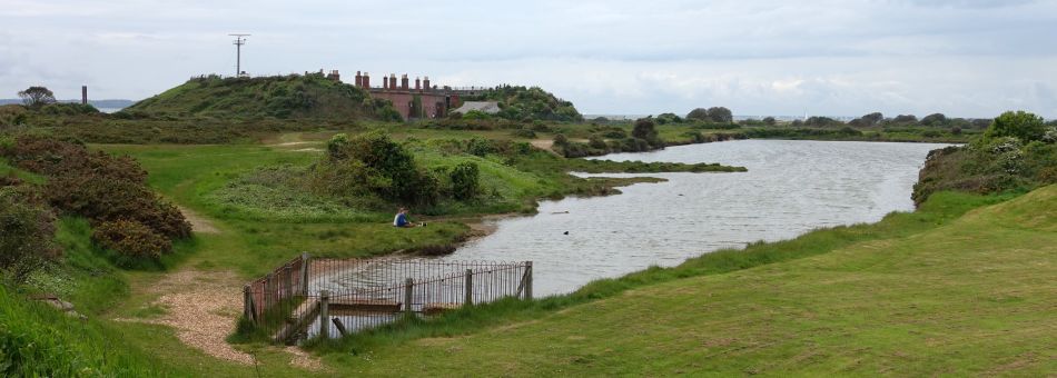 Friends of Stokes Bay