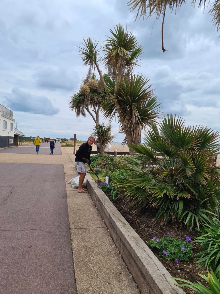 Activities – Friends of Stokes Bay