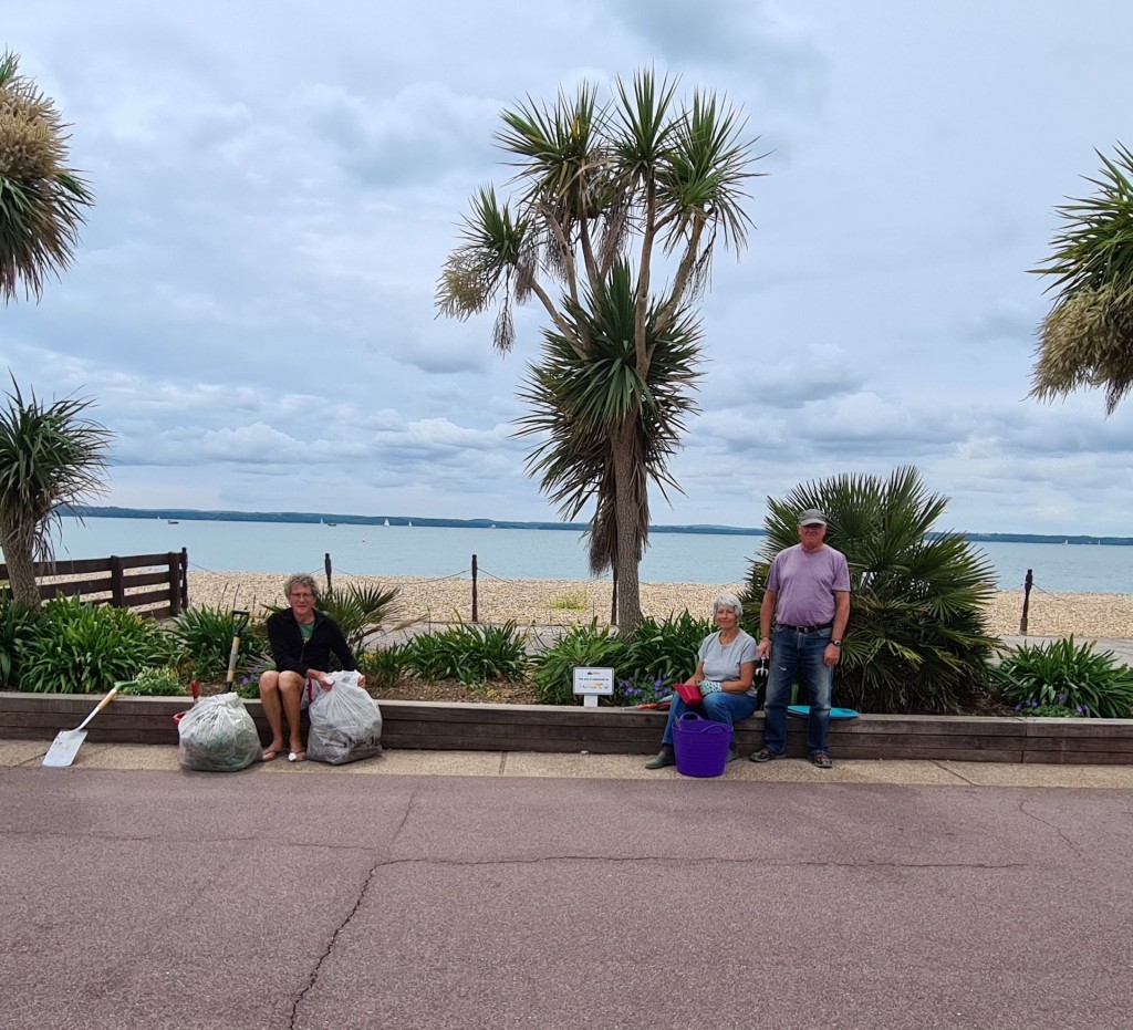 Activities – Friends of Stokes Bay