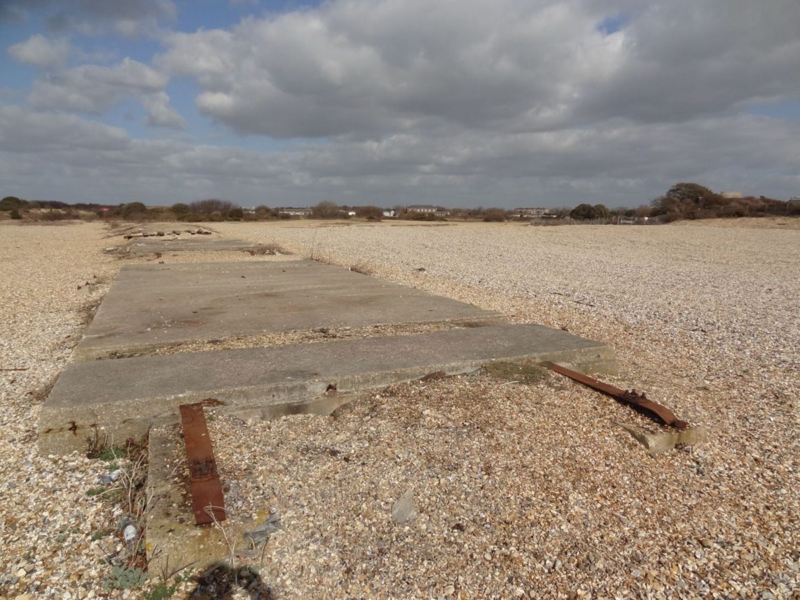 Browndown Mushroom – Friends of Stokes Bay