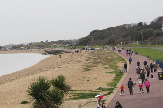 Friends of Stokes Bay – Safeguarding the environment of Stokes Bay