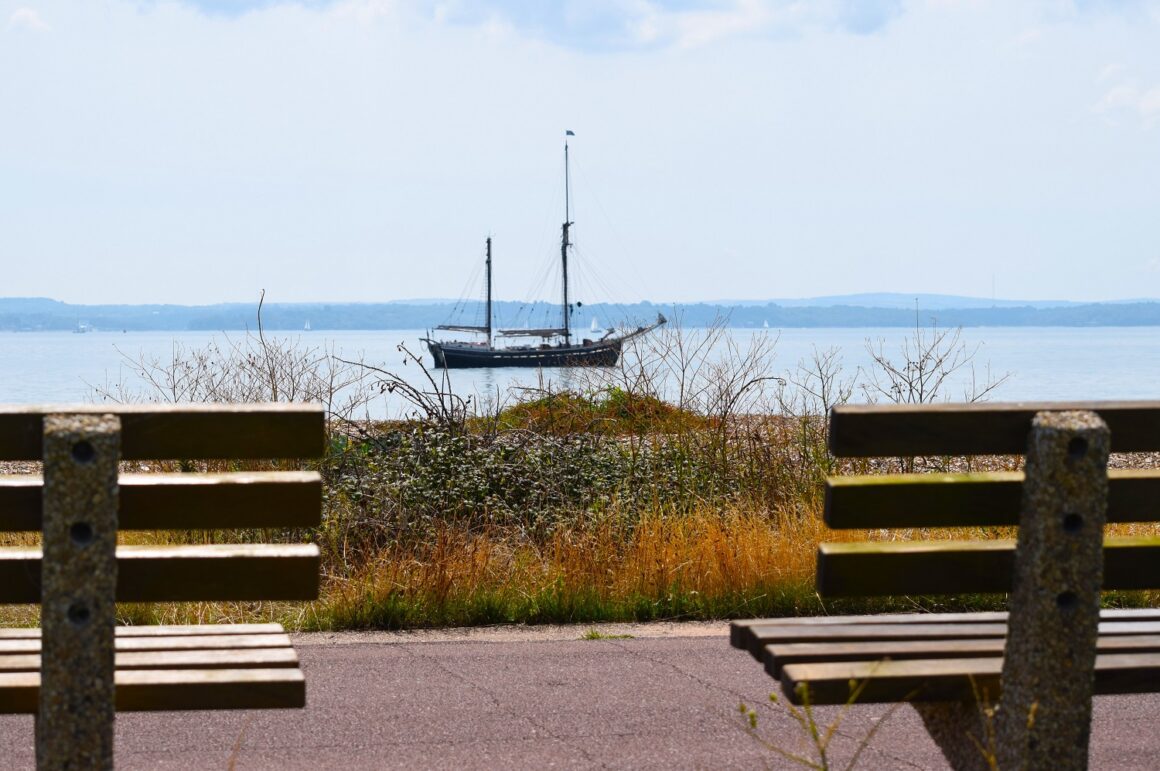 Friends of Stokes Bay – Safeguarding the environment of Stokes Bay